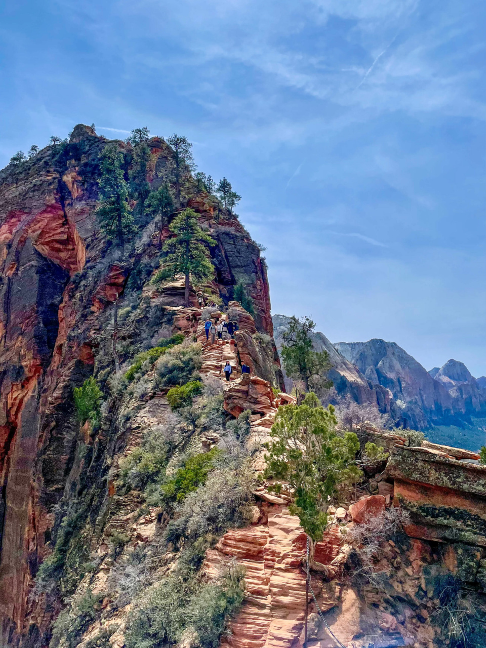 Utah Day 1 - Zion National Park - Yi's Blog